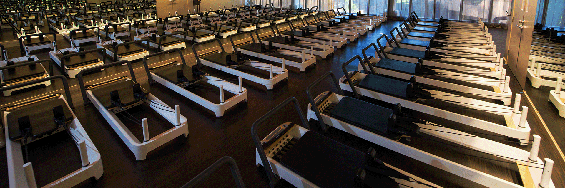 The Athlete's Foot Bondi Junction x Elixr Health Clubs